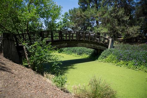 Continuing And Professional Education International Uc Davis Arboretum