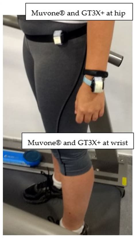 Validation Of A Wearable Accelerometer Based Activity Monitor For Use In Future Osteoporosis