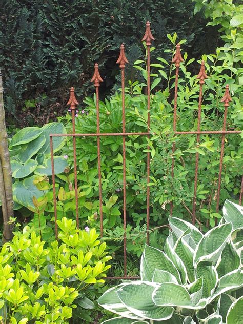 무료 이미지 울타리 잎 목초 식물학 플로라 데코 조각 미술 관목 식물원 아룸 정원 장식 꽃 피는 식물 연간 공장 육상 식물 2448x3264