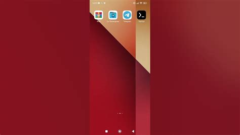 Р0ccМеРть Termux Python Soft Coding Programming Catlover