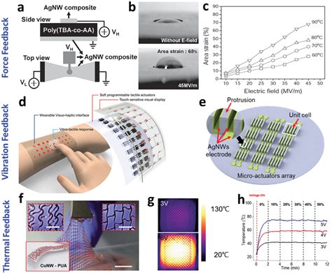 Nanowire For Haptic Feedback A Schematic Of Silver Nanowire‐based Download Scientific Diagram