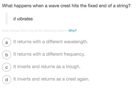 Solved What Happens When A Wave Crest Hits The Fixed End Of