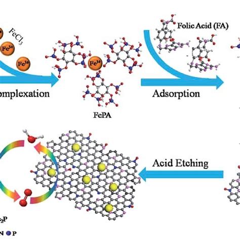 Scheme 1 Schematic Illustration Of The Formation Process Of Fep Download Scientific Diagram