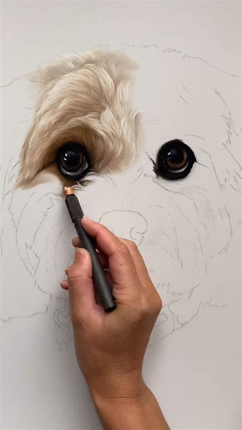 Throwback To Storm To Break Up The Mass Of Goldie Portraits Ive Been Sharing Recently Loads