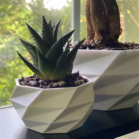 Cool 3d Printed Plant Pots At Brandi Stevens Blog