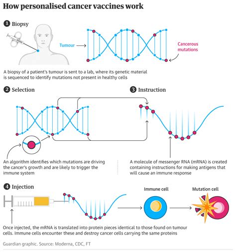 Confirmation Bias We Re Like A Family And Overloading Symbols And Colors