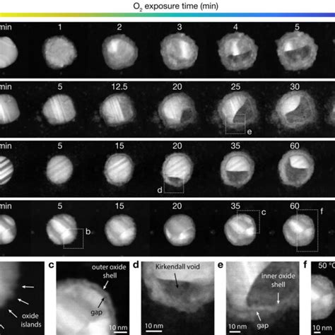 Adf Stem Of Single Cu Particle Oxidation At Different Temperatures A