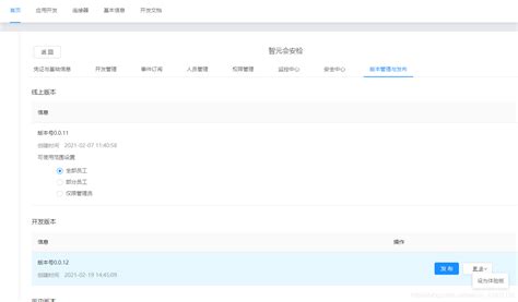 钉钉小程序使用部署流程钉钉小程序体验版怎么访问 Csdn博客