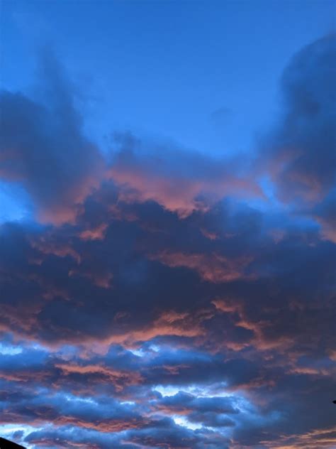 Cognitive Benefits Of Coffee