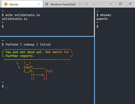 Windows Subsystem For Linux WSL Explained Solidstudio