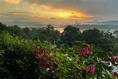 Un Climate And Sdg Synergy Report 2025 Quantifies Benefits Sdg Knowledge Hub