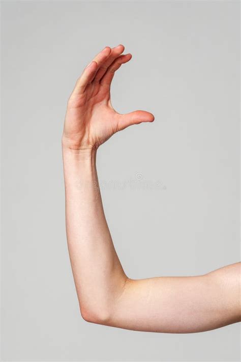Outstretched Bare Human Arm Against A Plain Gray Background Stock Image Image Of Musculature