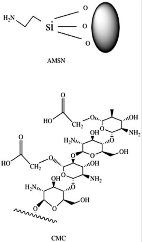 Chemical Structure Of Amsn And Cmc Download Scientific Diagram