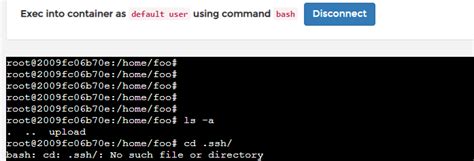 home foo ssh no such file or directory · issue 224 · atmoz sftp · github