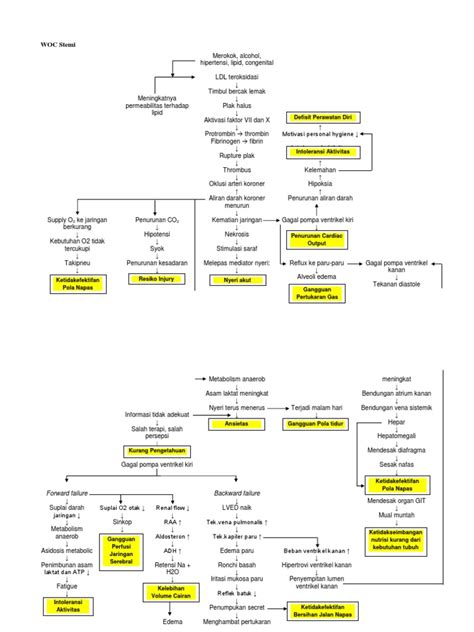 Pathway Stemi Pdf