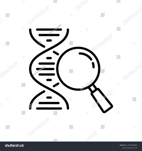 Genetic Analysis Glass Magnifier Line Icon Stock Vector Royalty Free 2376789581 Shutterstock