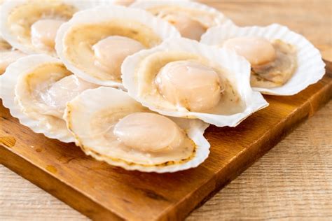 Premium Photo Fresh Shell Scallop