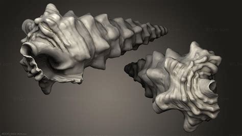 Stones And Shells 3d Stl Models For Cnc