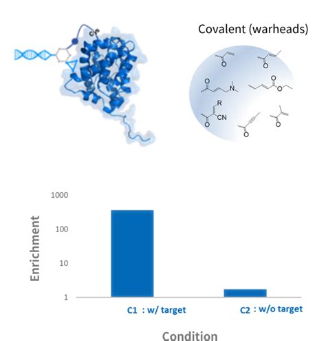 Dna Encoded Libraries Del Wuxi Biology