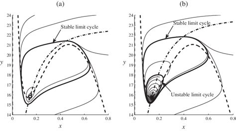 Phase Portrait For Case 3 At Intermediate Values Of B Left An