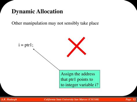 ppt pointer dynamic allocation powerpoint presentation free