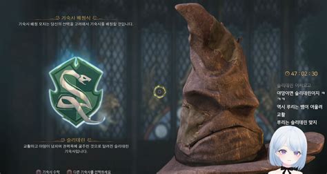 해리포터 기숙사 모자 귀신같네ㅋㅋ 숲 Soop 에펨코리아