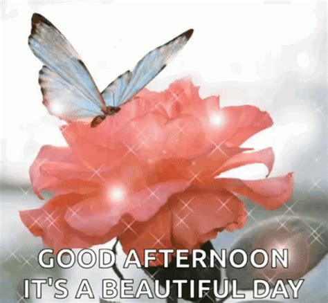 Beautiful Good Night S Download And Share