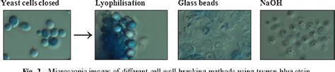 Figure 2 From Monitoring The Production Process Of Selenized Yeast By Elemental Speciation
