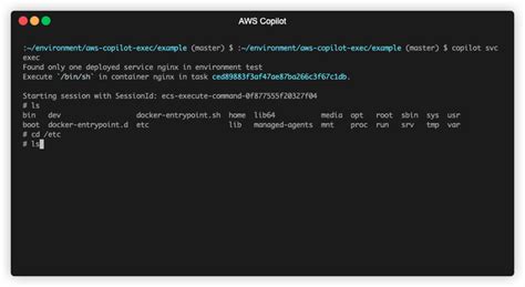 Connecting To An Interactive Shell On Your Containers Running In Aws Fargate Using Aws Copilot
