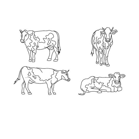 Premium Vector Cow Hand Drawn Doodle Illustrations Vector Set