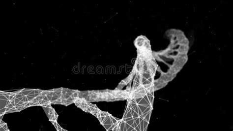 Abstract Animated Construction Of A DNA Molecule From Particles Motion Design White Color