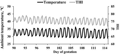 the ambient temperature and temperature humidity index thi during