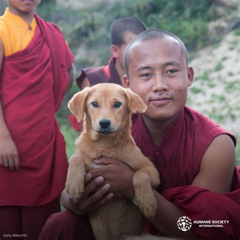 Manish Kumar Posted On Linkedin