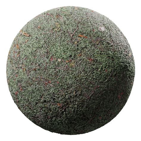 Moss Texture Pale Green Poliigon