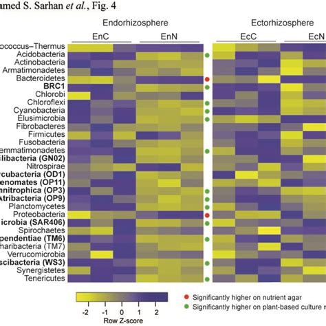 Heatmap Representing The Significant Differences Between The Tested