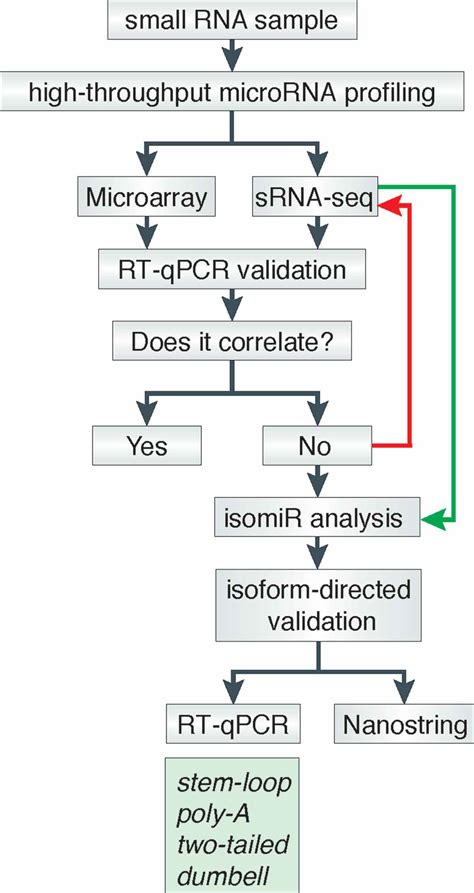 Decision‐making Diagram After High‐throughput Microrna Profiling Data