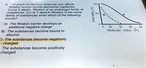 Solved The Graph Shows How Molecular Size Affects Filtration Across