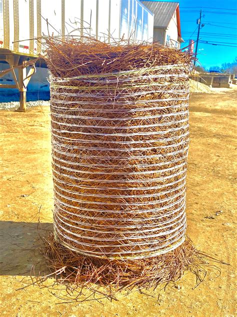 Understanding Bale Vs Roll Of Pine Straw A Comprehensive Guide