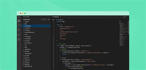 Codepass 海豚有海