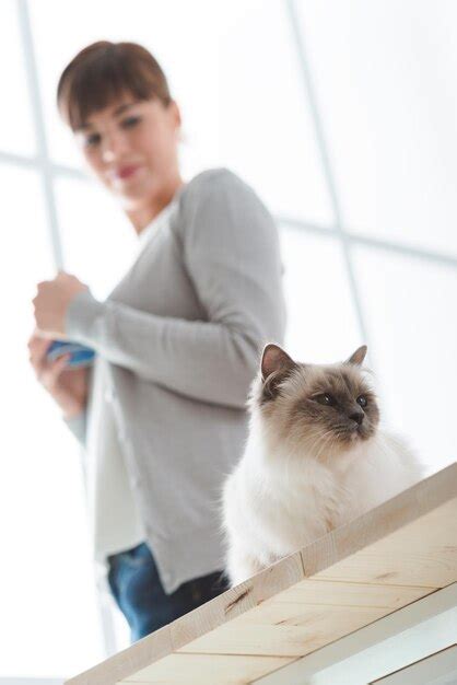Premium Photo | Cat at home