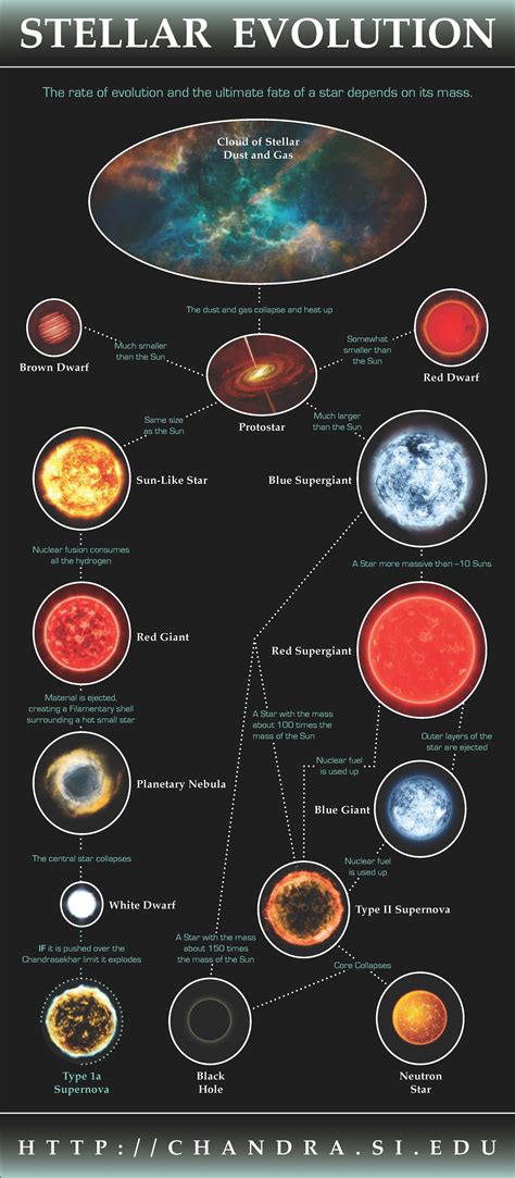 Stellar Evolution Astronomy Science Space And Astronomy Earth Science