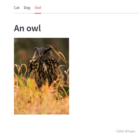 Streamlit库介绍与学习笔记streamlit库简介 Csdn博客