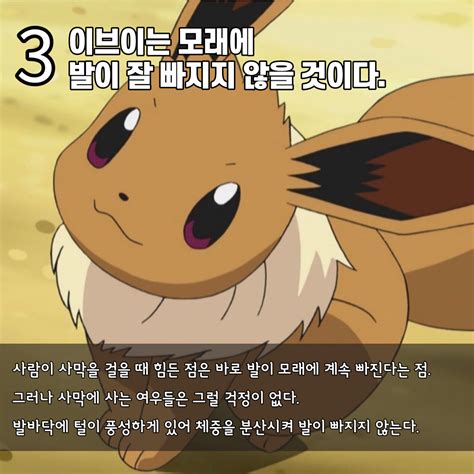 수의사가 보는 동물 캐릭터 포켓몬스터 이브이