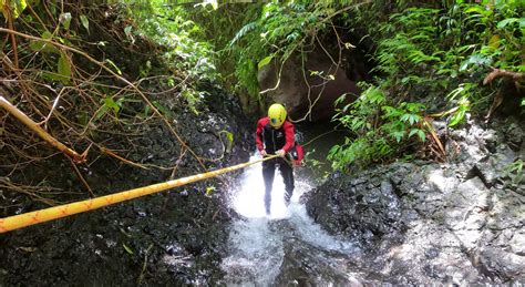 Gitgit Waterfall A Thrilling Adventure In Bali Gitgit Waterfall A Thrilling Adventure In Bali