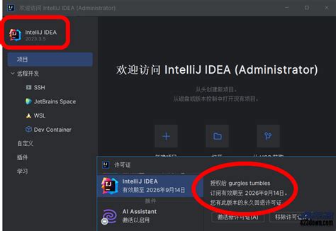 intellij idea 2023 3 6 idea2023中文激活版 423down