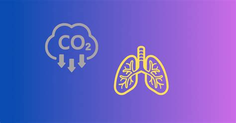 Understanding Hypopnea Partial Breathing Obstructions By Jeremy Smith