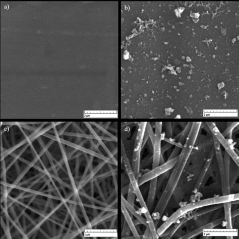 A Sem Analysis Of Polymer Pvdf Base Substrate Made By Download Scientific Diagram