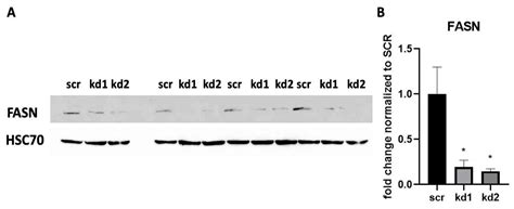 Functional Role Of Fatty Acid Synthase For Signal Transduction In Core Binding Factor Acute
