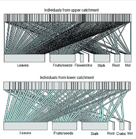 Bipartite Graph Showing The Relationship Between Piaractus