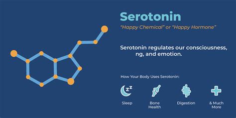How To Increase Serotonin Levels After Using Mephedrone